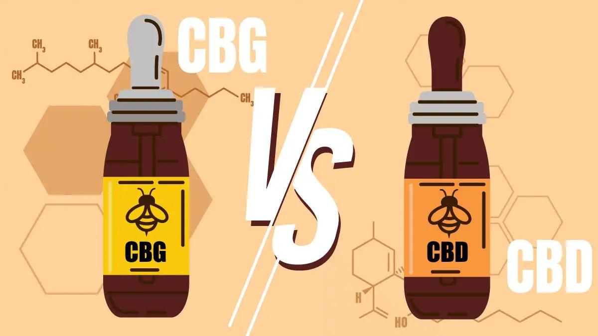 CBG 与 CBD：两种大麻素有什么区别？ - 知乎