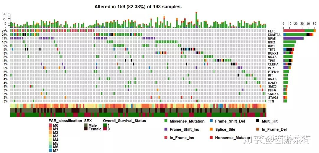 maftools | 从头开始绘制发表级oncoplot（瀑布图） - 知乎