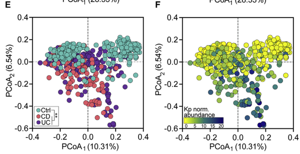 跟着 Cell 学作图 | 主坐标分析(PCoA)及其可视化(vegan) - 知乎
