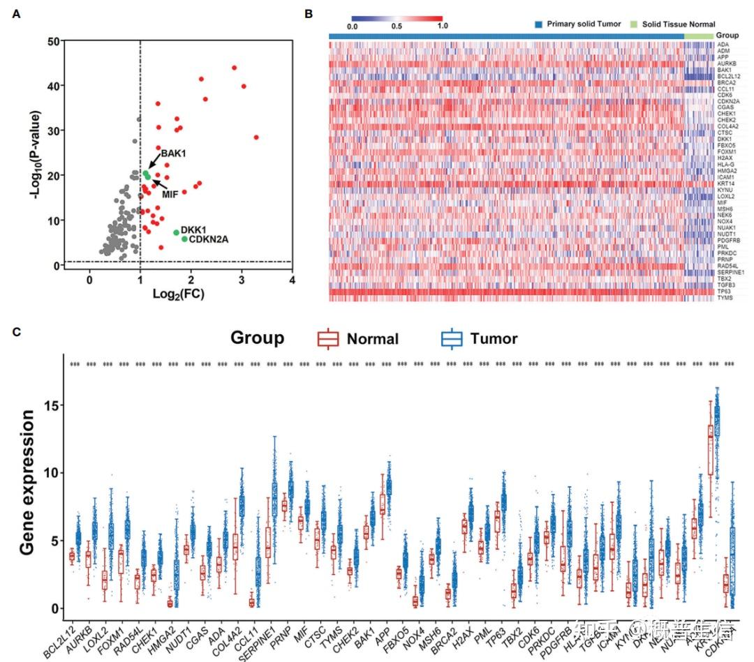SCI：生信分析之预后风险模型的万能公式 - 知乎