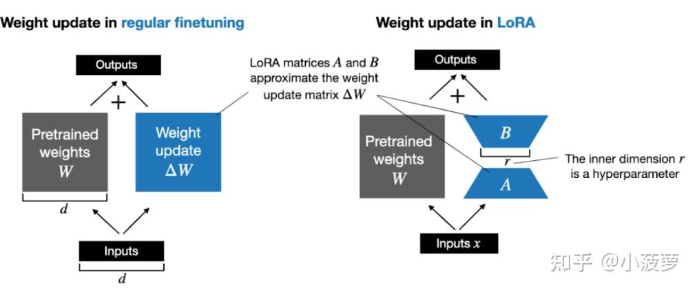 一文读懂：详细解释LoRA微调原理（附手撸代码） - 知乎