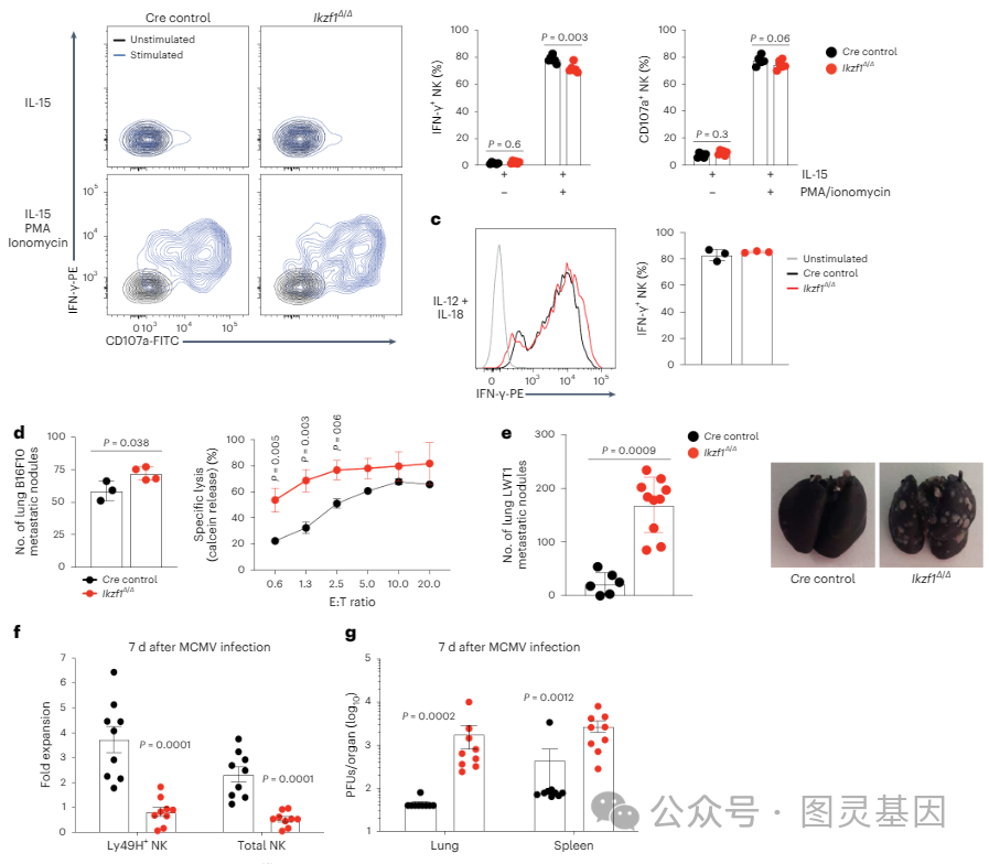 Nat Immu | 揭示IKAROS/AIOLOS相关抗肿瘤药物的作用机制 - 知乎