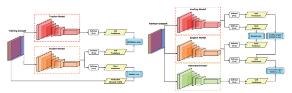 CVPR 2021 论文大盘点-医学影像篇 - 知乎