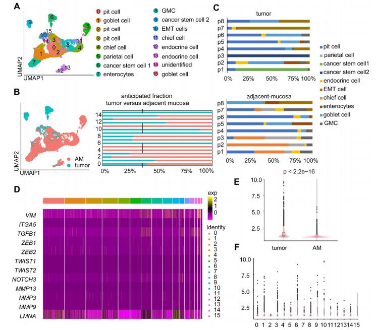 文献解读 | 单细胞转录组测序揭示成纤维细胞在调节肿瘤微环境中的独特作用 - 知乎