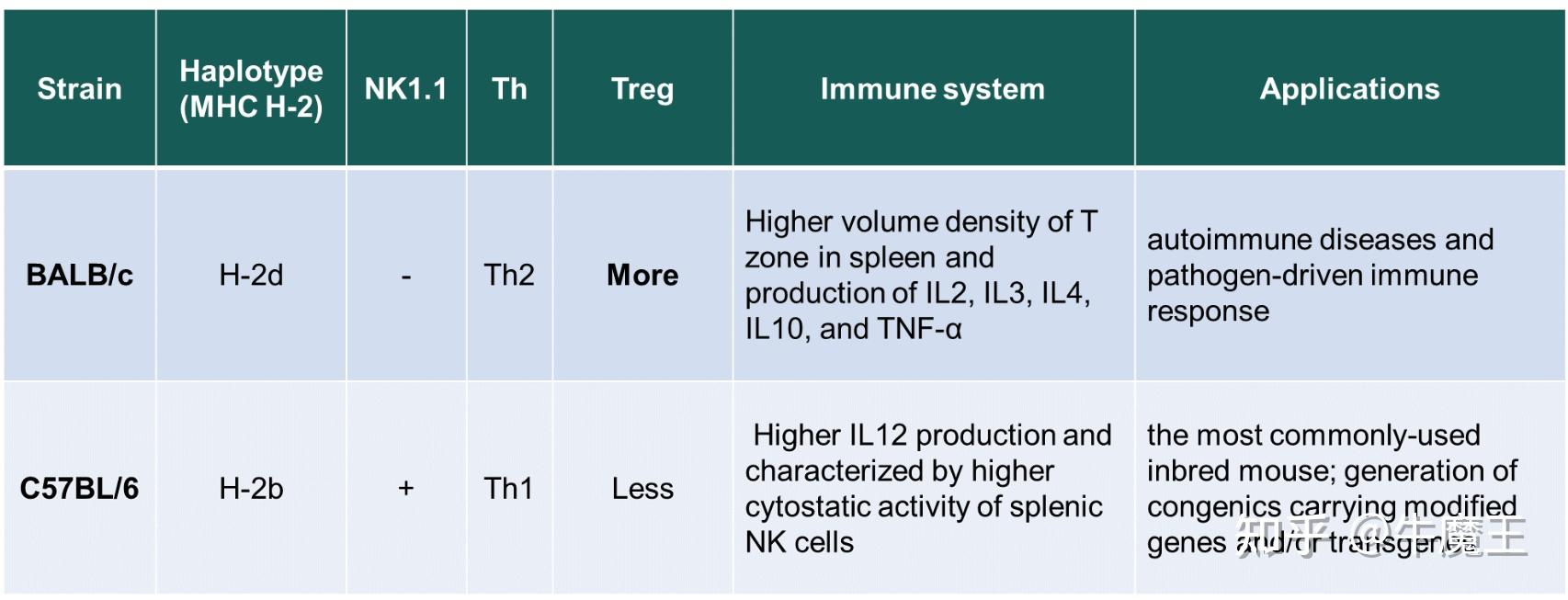 小鼠种类汇总（持续完善ing） - 知乎