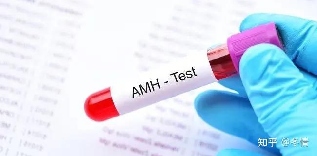 你必须知道的AMH与卵巢功能的真相 - 知乎