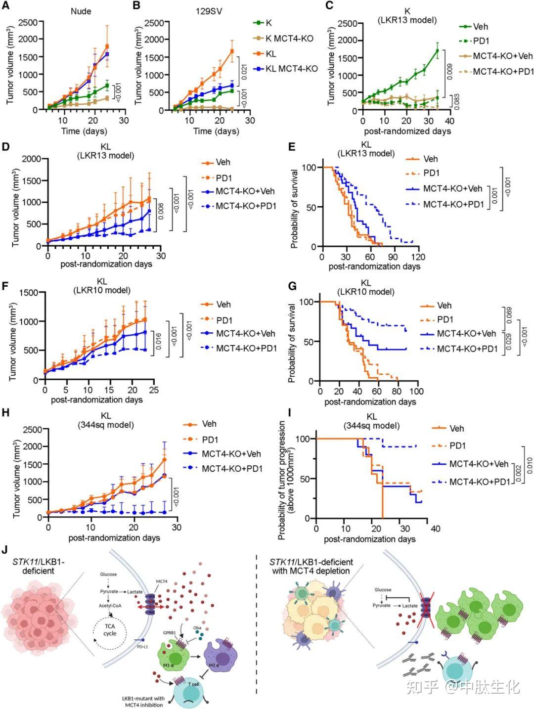 《癌细胞》：肿瘤“酸倒”T细胞！最新研究揭示，STK11突变型肺癌中的乳酸可抑制抗肿瘤免疫应答 - 知乎