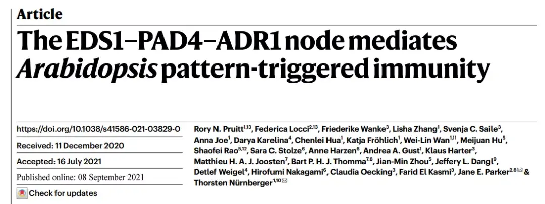 三篇Nature，揭示植物两大类免疫通路协同作用的机制 - 知乎