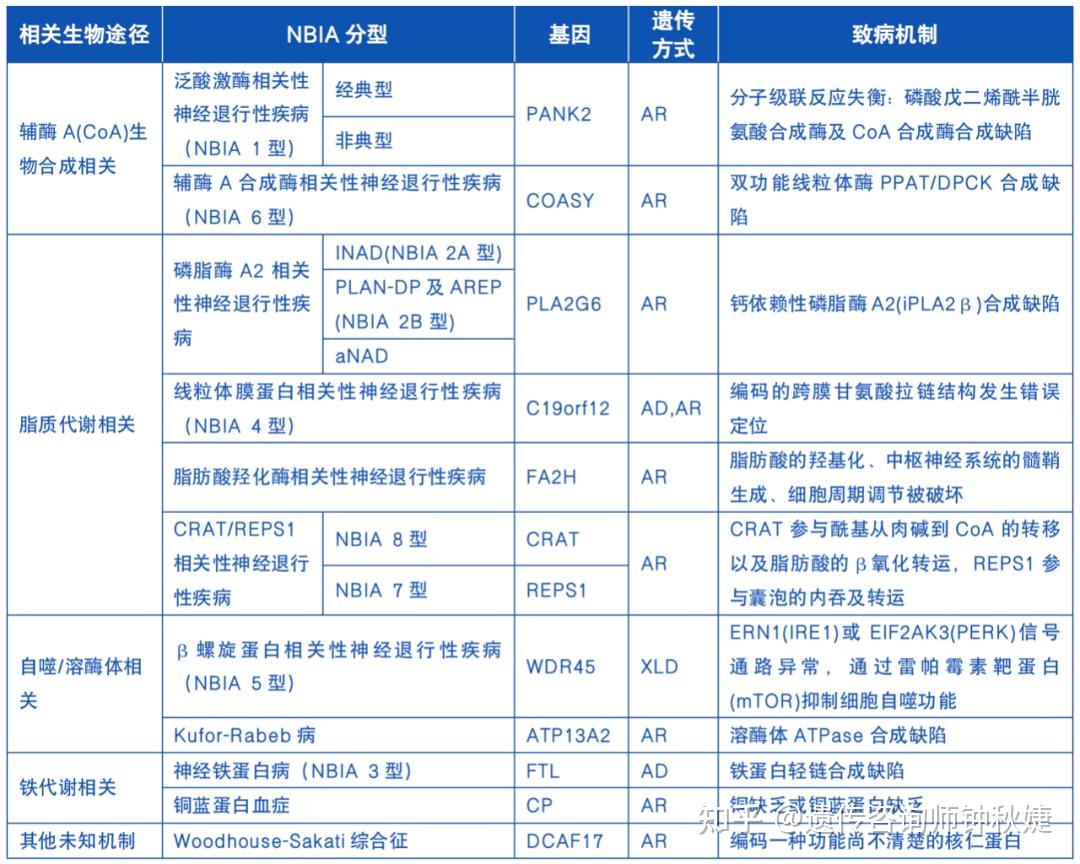 神经退行性疾病伴脑铁沉积的基因检测 - 知乎