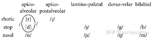 7. 音系 (Phonology) - 知乎