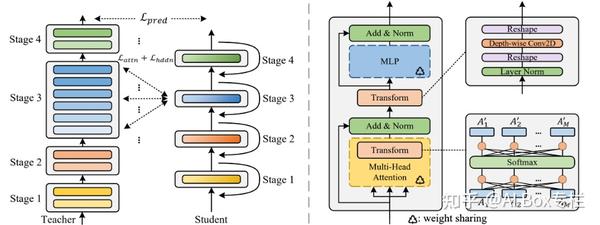Fast and Effective！一文速览轻量化Transformer各领域研究进展 - 知乎