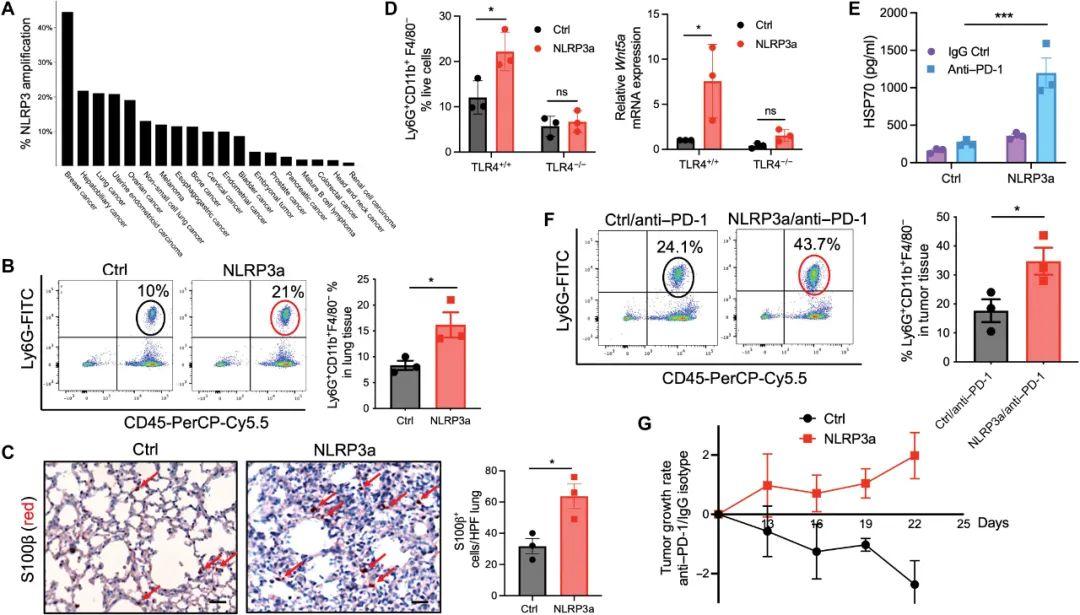 STM | 瘤内NLRP3-HSP70-TLR4轴在抗PD-1治疗期间驱动转移前生态位/肿瘤超进展 - 知乎