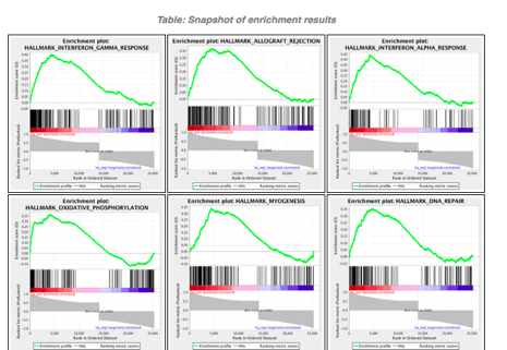 【工具】GSEA分析RNA-seq数据 - 知乎