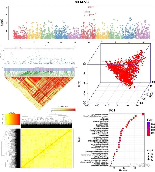 GWAS进阶分析为何要推荐Linux系统 - 知乎