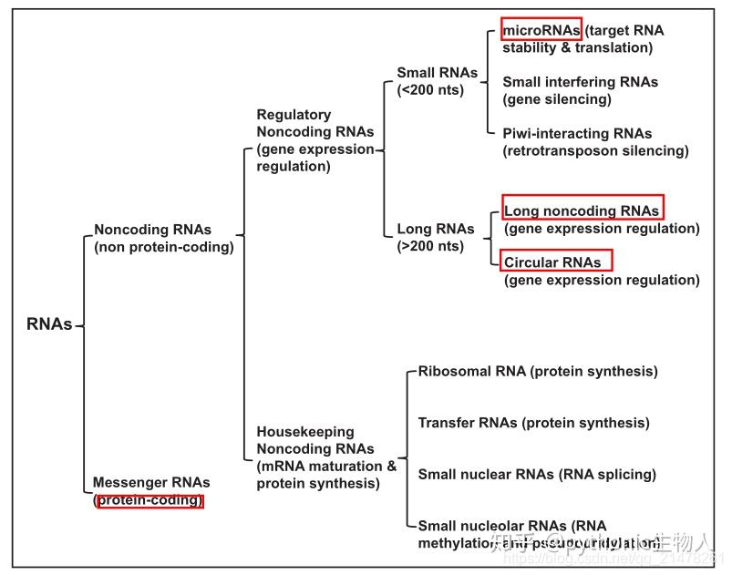 Omics精进07|转录组之mRNA|miRNA|lncRNA|circRNA测序简介 - 知乎