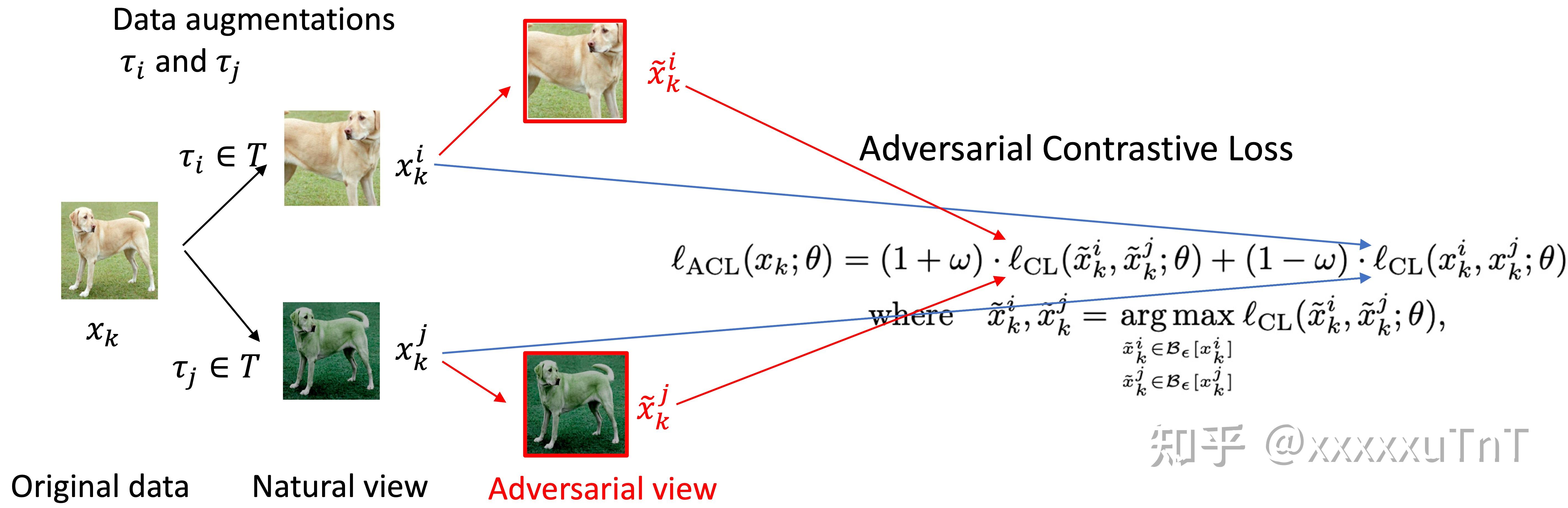 [NeurIPS'23 Spotlight and Poster] 2篇对抗对比学习 (Adversarial Contrastive Learning) 论文导读 - 知乎