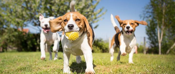 2022 美国中学生数学建模竞赛（HiMCM/MidMCM）成绩和特等奖论文 - 知乎