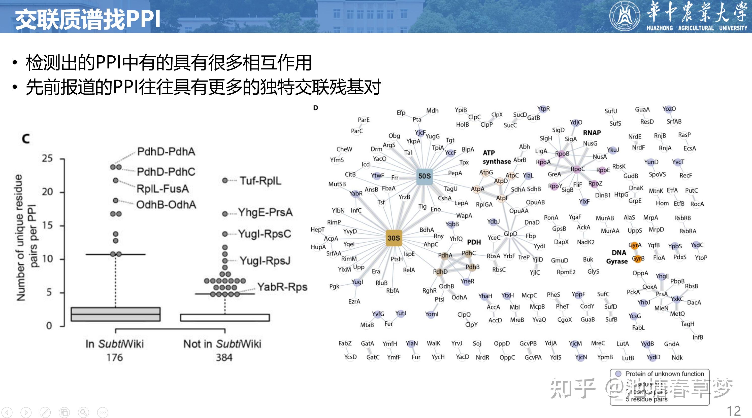 基于AI辅助的结构蛋白质组学研究细胞内的蛋白质复合体 - 知乎
