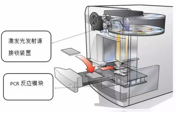 从PCR到qPCR——关于理论、应用的演化简史 - 知乎