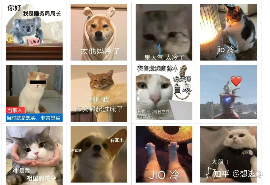 你有哪些超级搞笑的表情包？ - 知乎