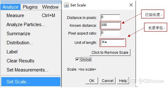 image J长度举例测量实践操作 - 知乎