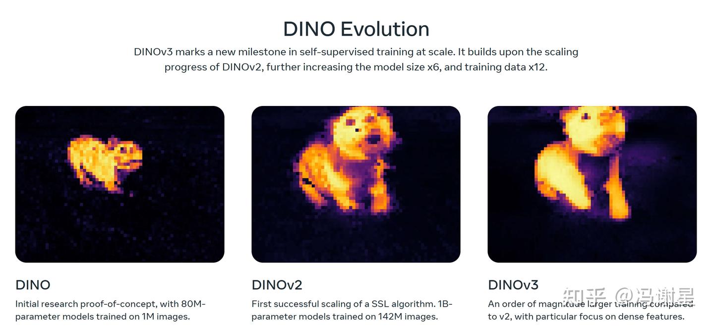 最强视觉自监督模型DINO系列超详细解读：DINO / DINOv2 / DINOv3 - 知乎