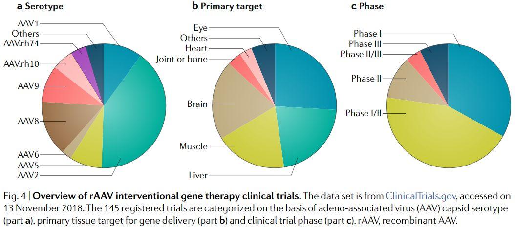Nature综述：详述基因治疗明星载体腺相关病毒(AAV) - 知乎