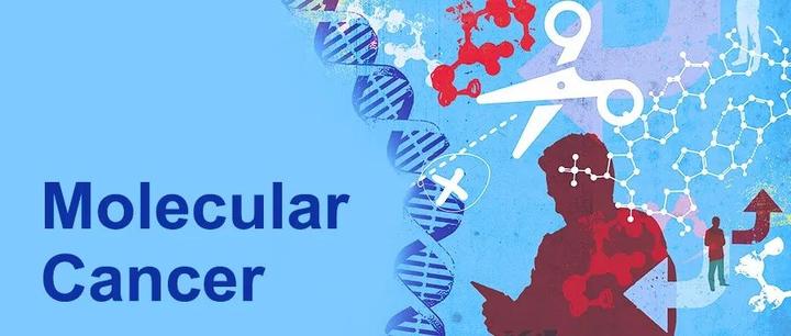 Molecular Cancer二连发！“i-CRISPR”——特异杀伤癌细胞的癌症精准治疗方案横空出世 - 知乎