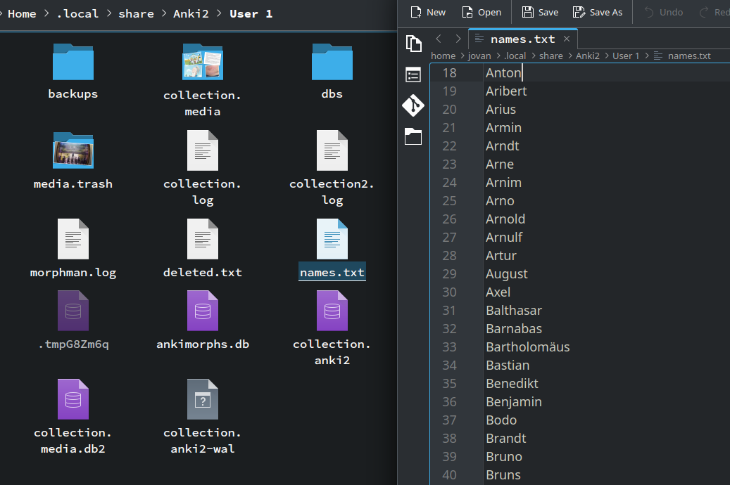 AnkiMorphs教程翻译（自用版） - 知乎