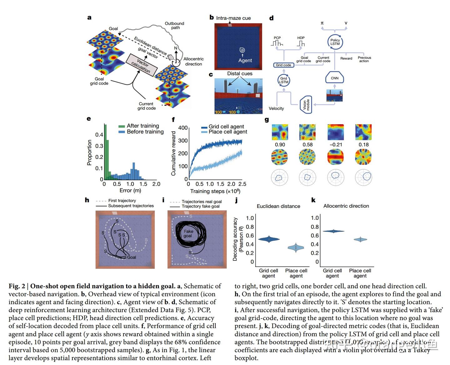 Vector-based navigation using grid-like representations in artificial agents - 知乎