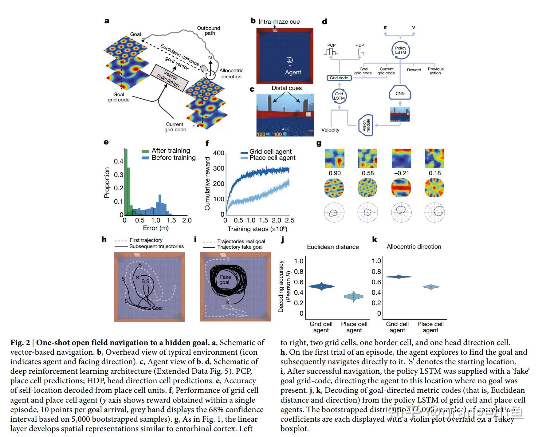 Vector-based navigation using grid-like representations in artificial agents - 知乎