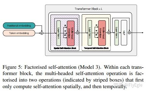 VideoTransformer系列(二)：ViViT: A Video Vision Transformer - 知乎