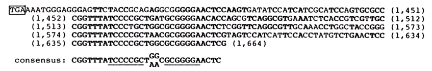 核酸的剪刀——CRISPR/Cas - 知乎
