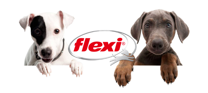 代理 | 德国Flexi福莱希确认深圳五方世纪为国内市场总代 - 知乎