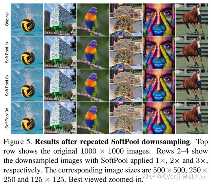 涨点神器！SoftPool：一种新的池化方法，带你起飞，代码已开源！ - 知乎
