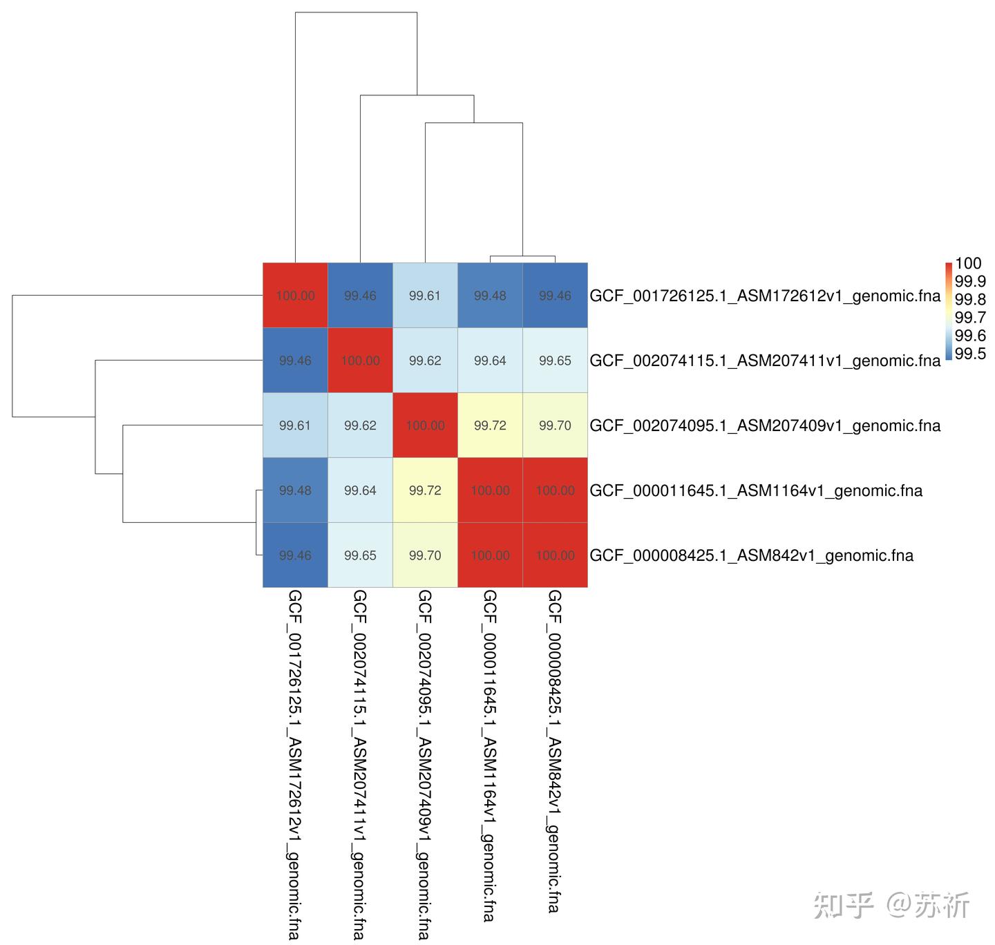 fastANI：ANI分析平均核苷酸一致性 - 知乎