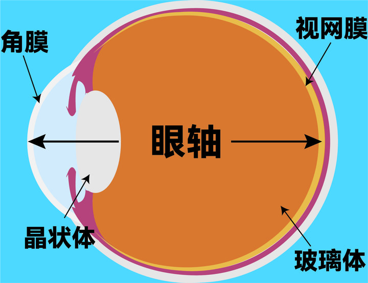 关于眼睛的这些问题你知道吗？ 知乎