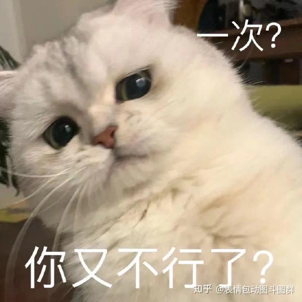 这个表情包！！！你敢发给她吗？？？ - 知乎