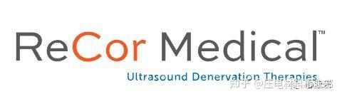 超声肾去神经（RDN）压电陶瓷圆管-超声消融导管 - 知乎