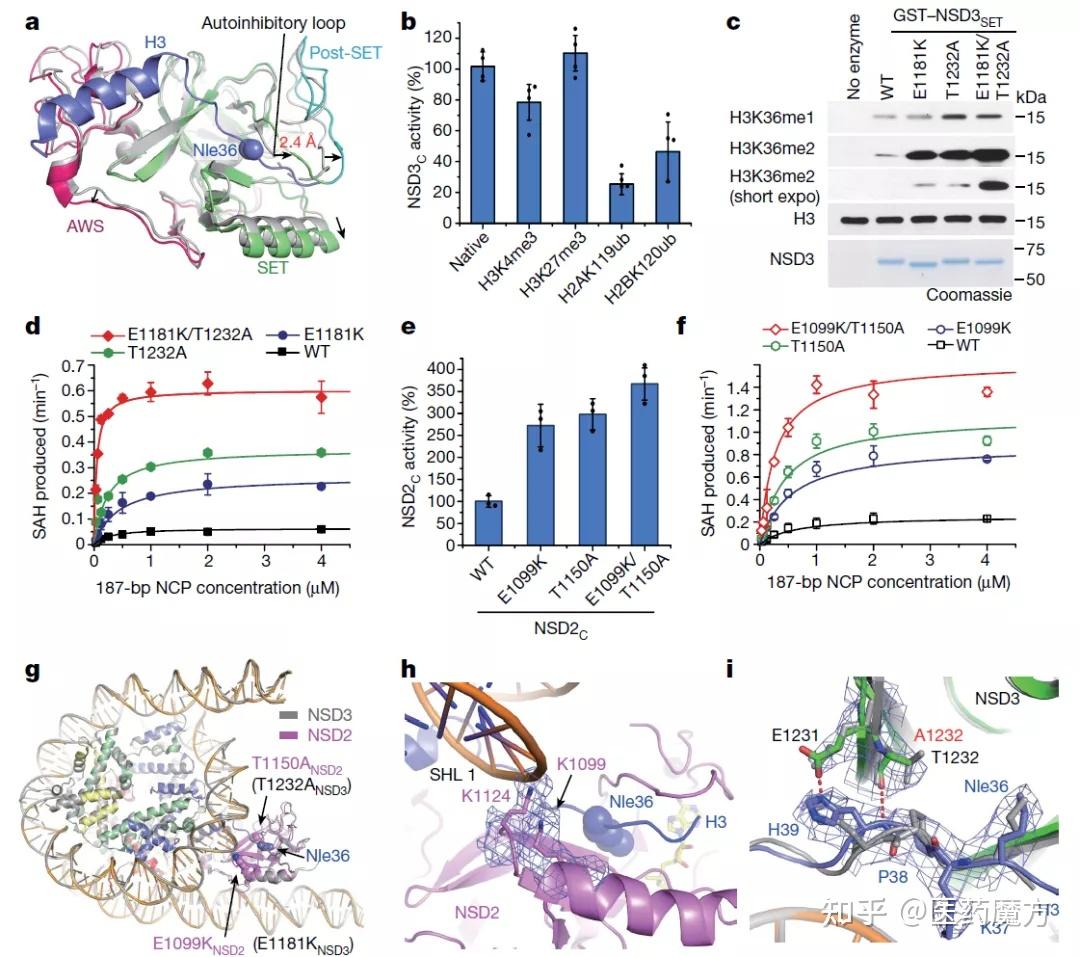 两篇Nature抗癌新突破：表观遗传新靶点——NSD3 - 知乎