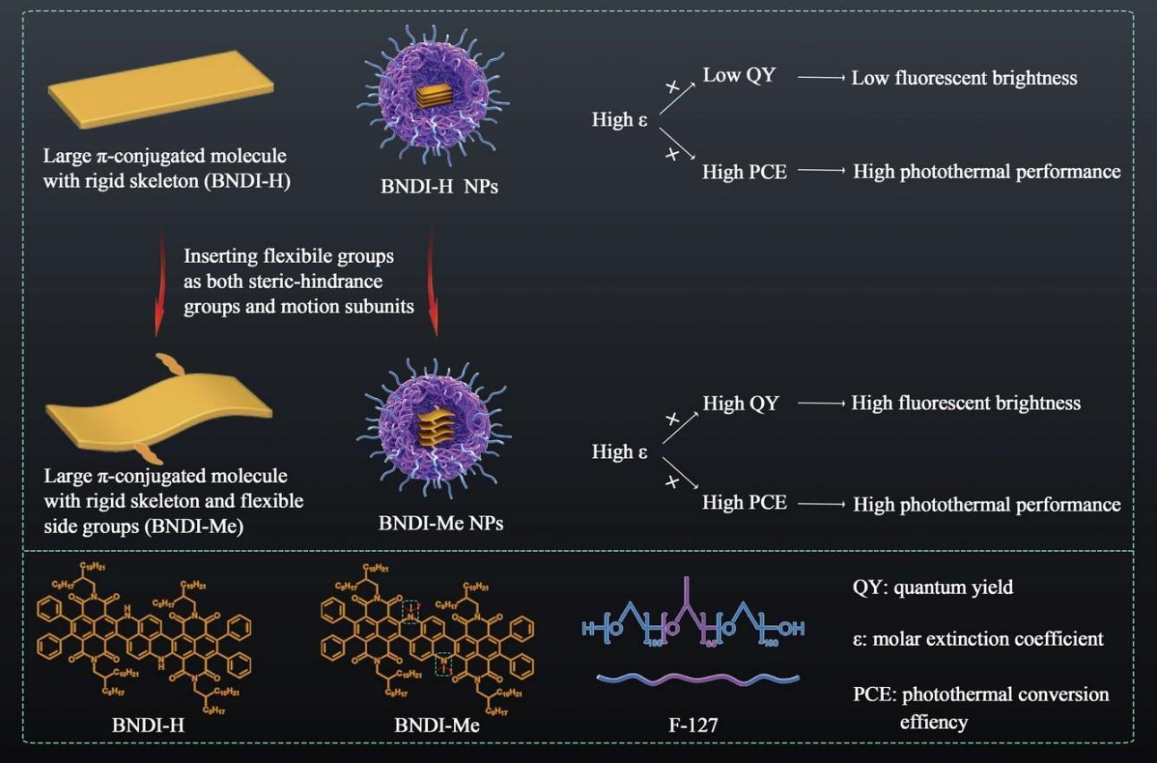 纳米探针 | NIR-II 超亮荧光及超高光热转换大 π 共轭单分子探针用于光热诊疗 - 知乎
