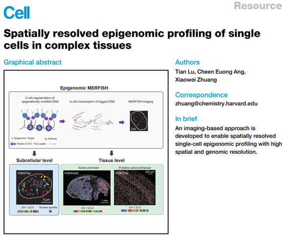 Cell | 复杂组织的单细胞空间表观基因组学成像 - 知乎