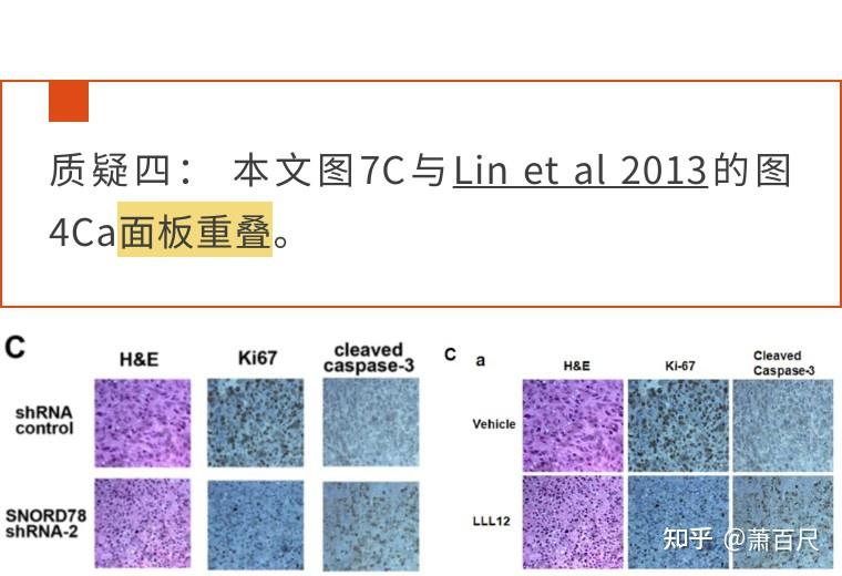 上海中山医院与肺科医院发表的论文被指多图重复，真实性令人怀疑 - 知乎