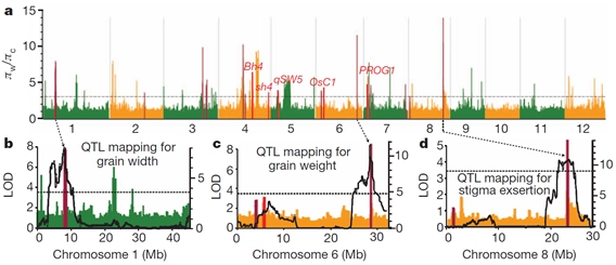 eQTL、pQTL、共定位、孟德尔随机化！8+ - 知乎