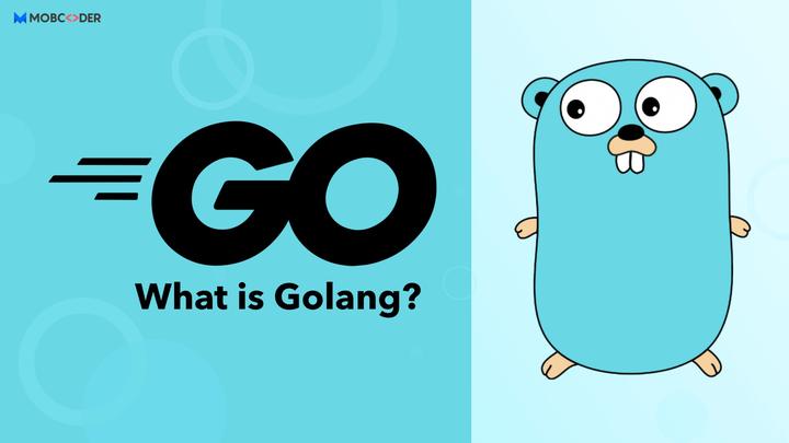 如何真正写好Golang代码? - 知乎