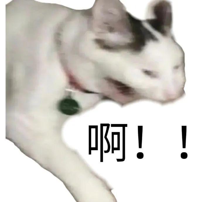 啊！！！！！表情包 - 知乎