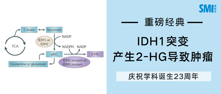 经典重读丨Nature肿瘤中IDH1突变和2-HG - 知乎