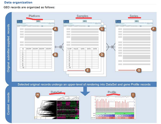 GEO Datasets里的数据的几种格式的说明 - 知乎
