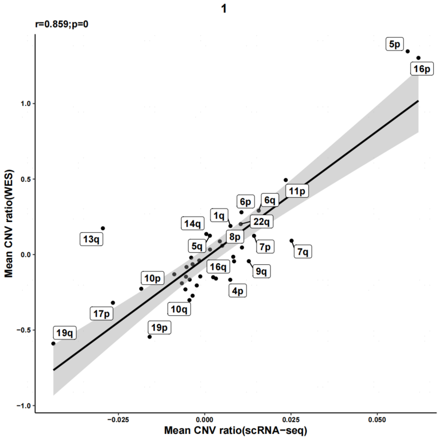 如虎添翼丨新格元scRNA联合WES分析助力肿瘤CNV研究 - 知乎