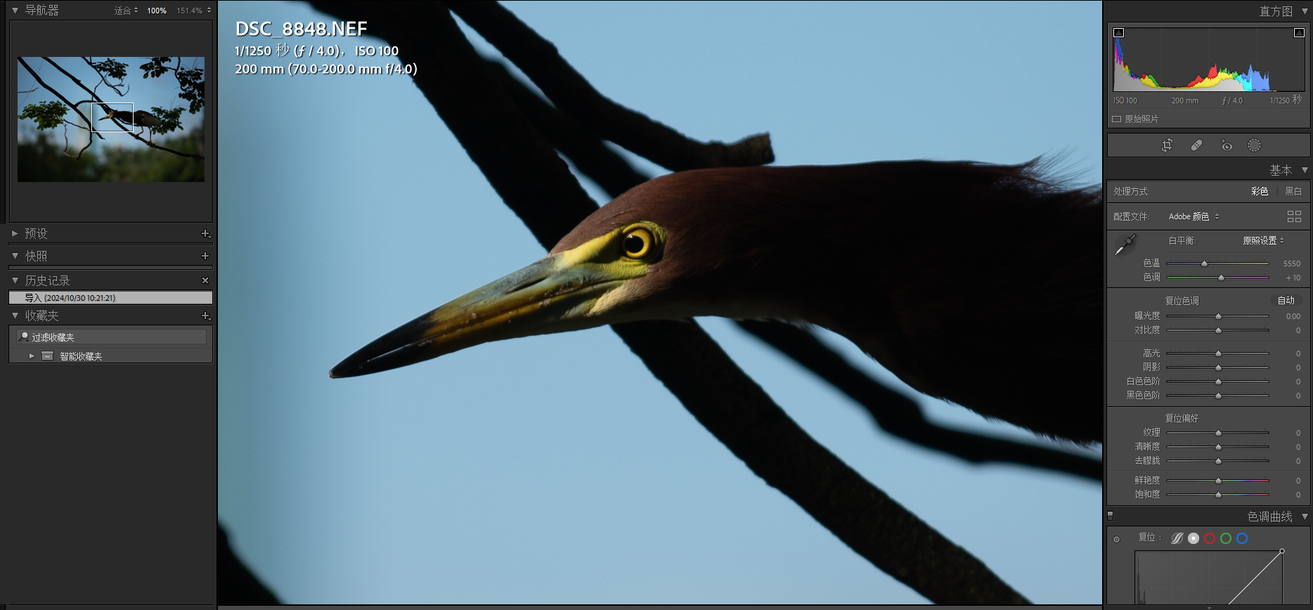 2024年，尼康Z63和尼康Z72应该如何选择？ - 知乎